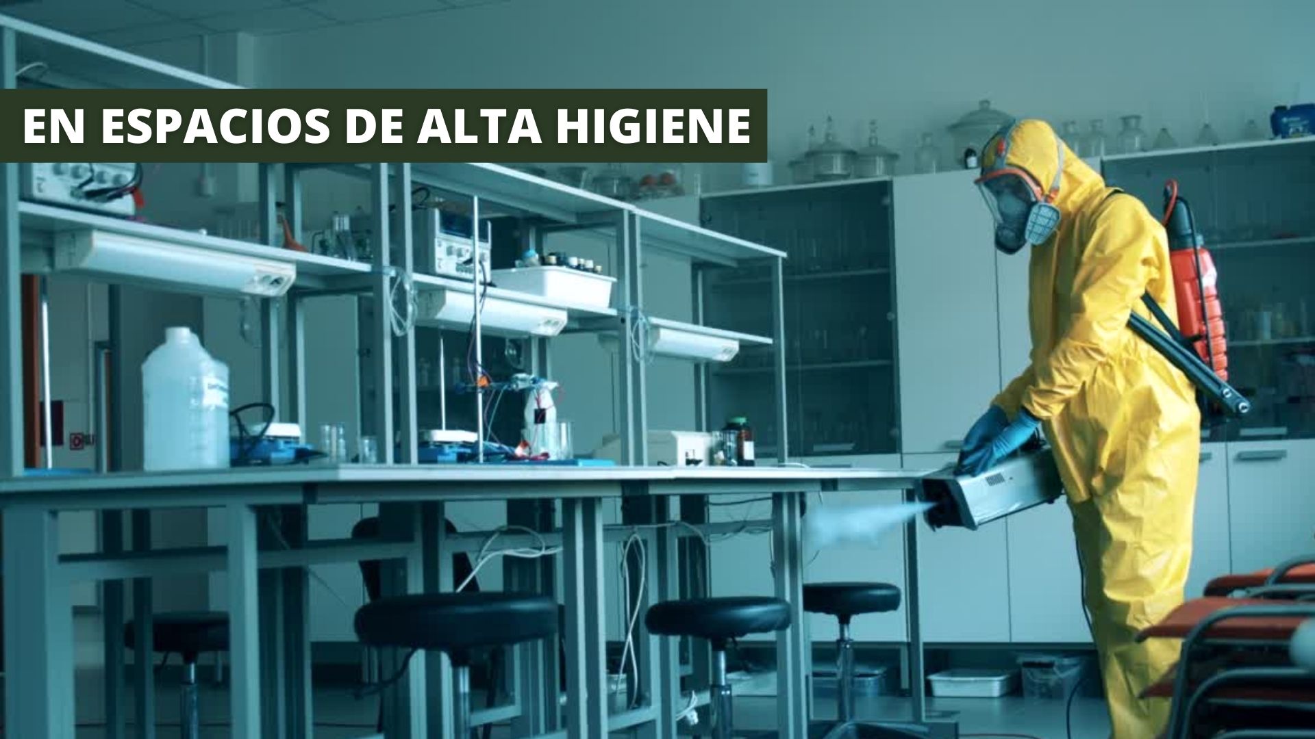 FumigARMX | Exterminadores Profesionales – Fumigaciones por ...